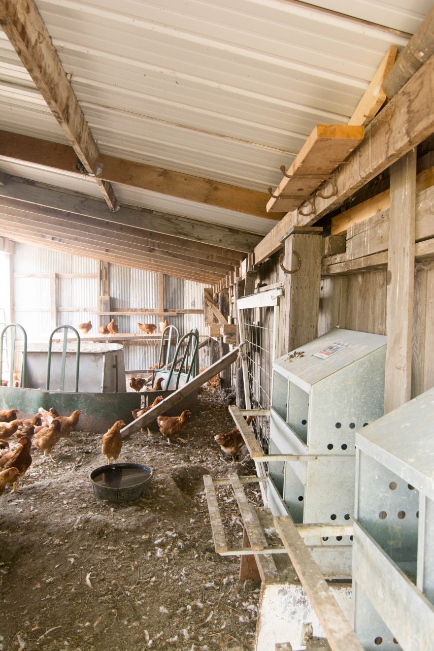 Prairie Pride Poultry Tour - Stirlist